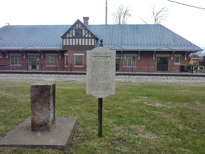 Knowledge repository where small-town wisdom meets literary adventures waiting to be discovered.