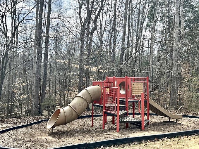 Even wilderness needs a playground. Because sometimes kids need a break from all that majestic natural beauty.