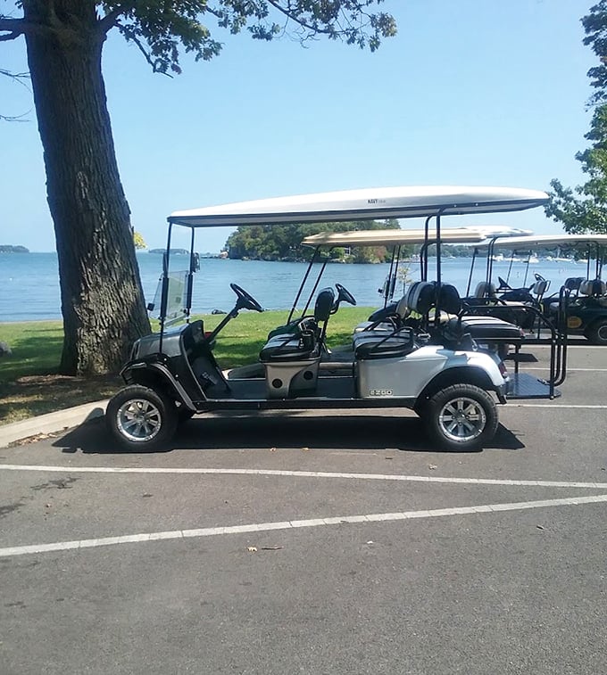 Island transportation at its finest! These golf carts aren't just vehicles—they're your ticket to freedom on South Bass Island, where the journey is as delightful as the destination.