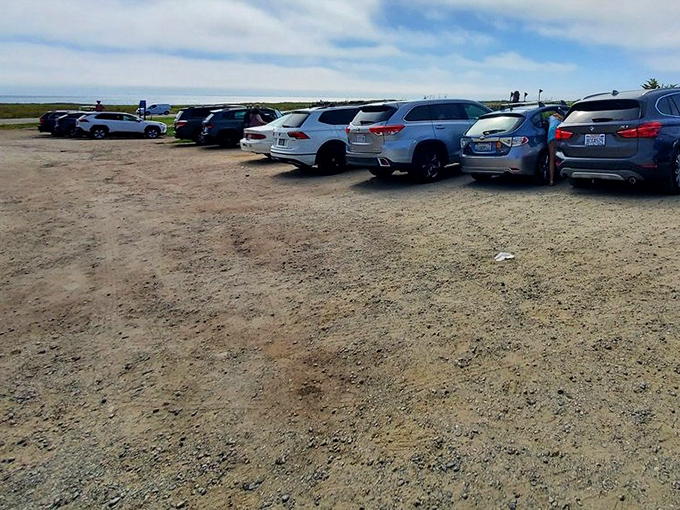 The parking lot with an ocean view—where city slickers trade concrete for coastline and prepare for their agricultural adventure.