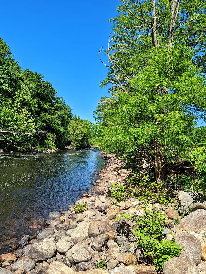 Riverfront Park along the Connecticut River gives you waterfront property access without the waterfront property price tag—democracy in action, basically.