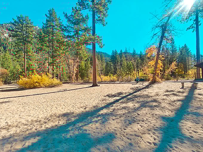 Golden sand meets towering pines. Your toes in the sand, your eyes on the mountains—the perfect Nevada contradiction.