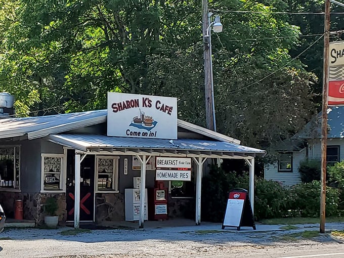 Sharon K's Cafe: where the coffee's strong enough to climb those hiking trails for you.