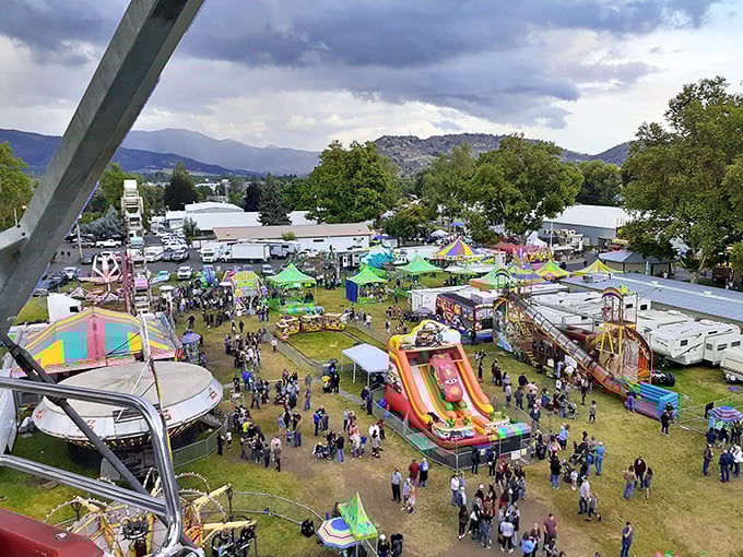 The Siskiyou Golden Fair brings the community together with rides, games, and food that would make any cardiologist nervously clear their throat.