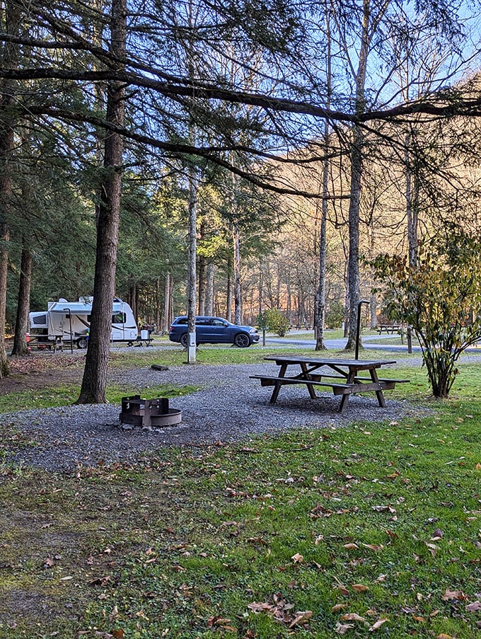 Sizerville State Park's camping area invites you to trade your digital connections for the more satisfying ones—with nature and each other.