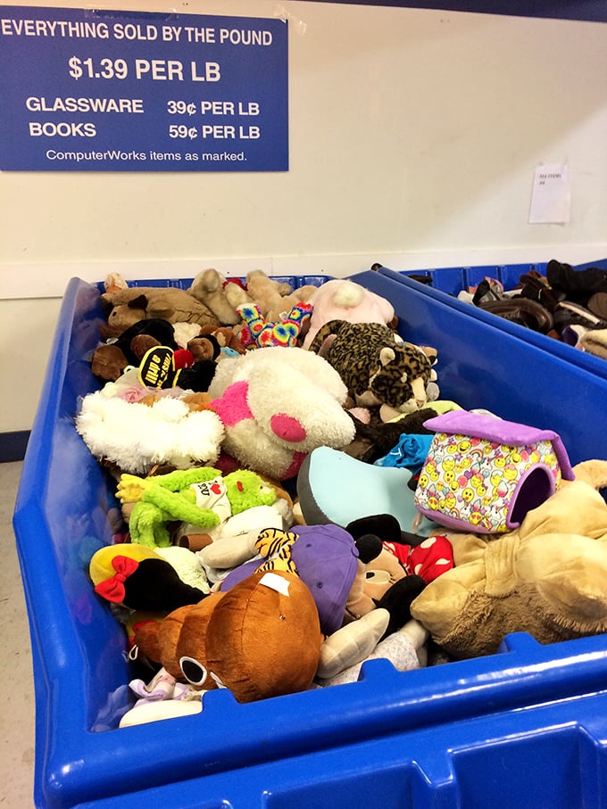 Stuffed animal adoption center where plush companions wait for new homes—priced by the pound instead of the cuddle factor.