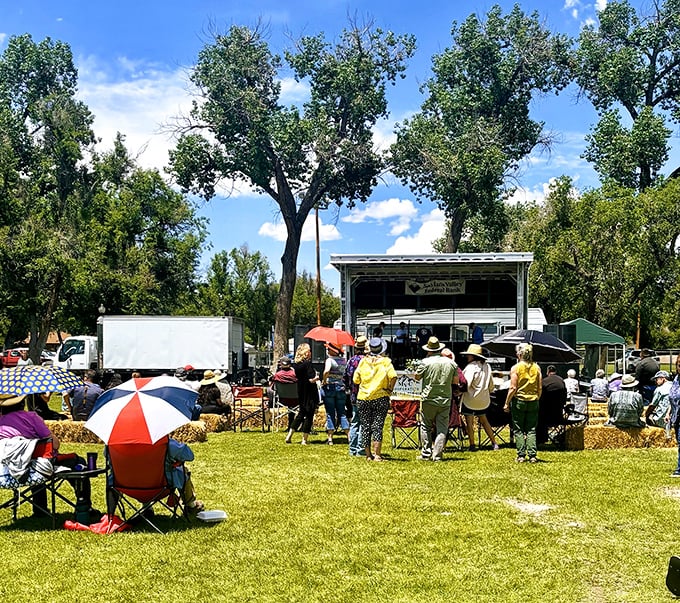 SummerFest on the Rio brings the community together under cottonwood trees. Live music, local food, and lawn chairs – summer perfection at 7,500 feet.