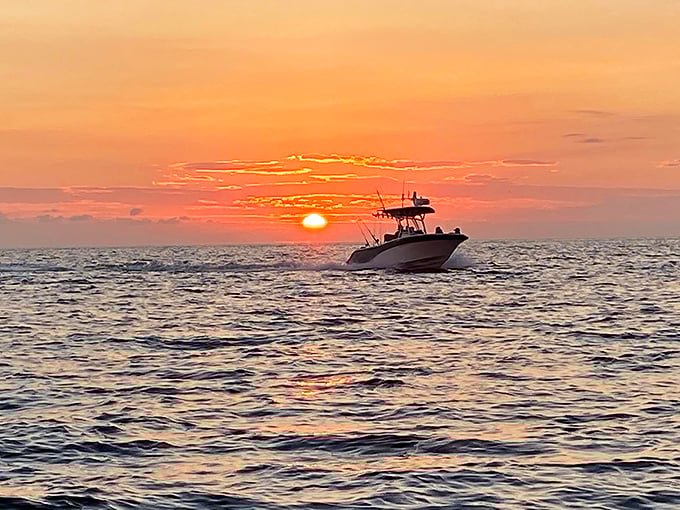 Sunset chasers, take note! Few experiences rival watching the day end from a boat near Anclote Key, where the sky performs daily miracles.