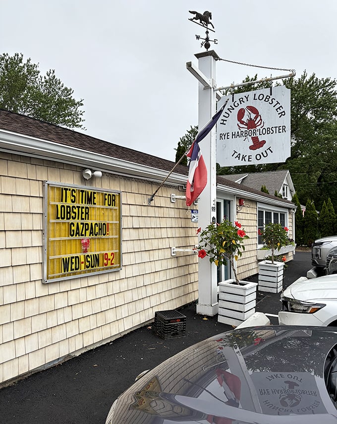 The Hungry Lobster's weathered shingles and whimsical sign announce what New Hampshire does best – unpretentious seafood served with salt air.