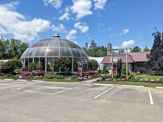 This glass dome greenhouse at Tioga Gardens isn't just growing plants—it's cultivating wonder under a perfect circle of sky.