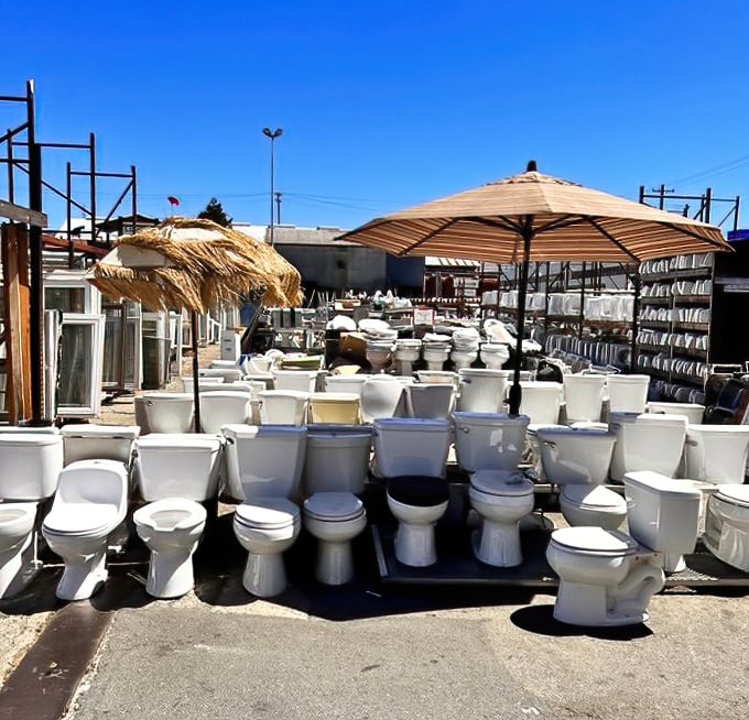 The toilet garden—possibly the only place where "taking a seat" becomes an existential choice among dozens of porcelain possibilities.