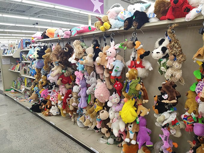 A plush menagerie hangs in hopeful suspension, each stuffed animal silently pleading, "Take me home!" with button eyes and stitched smiles.