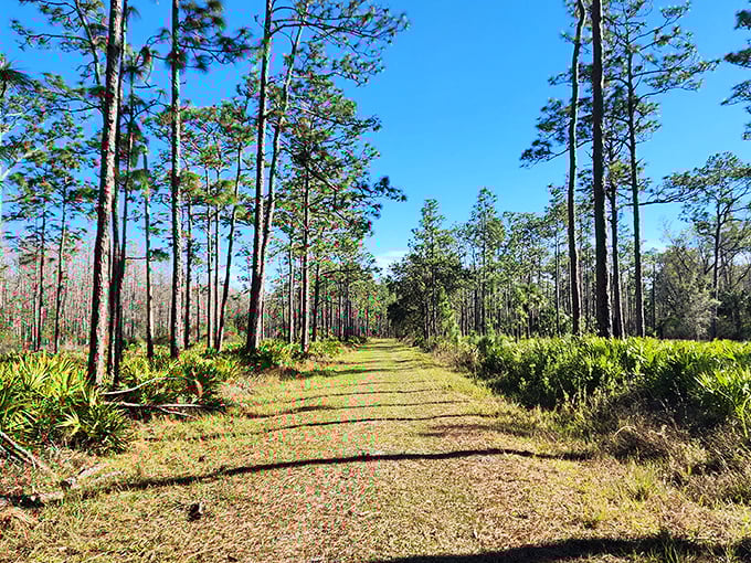 Social distancing, perfected. This sun-dappled trail offers the ultimate escape from inbox overload and Zoom meeting fatigue.