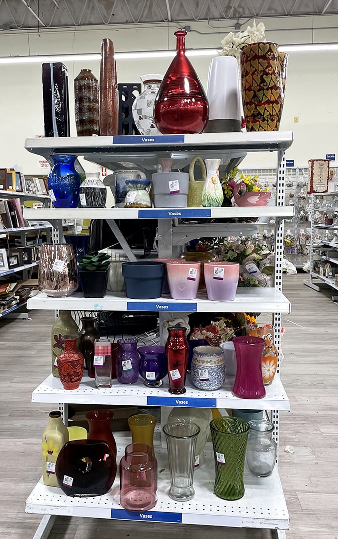 Vases in every imaginable shape and color—perfect for flowers, decorative branches, or just standing empty looking sophisticated.