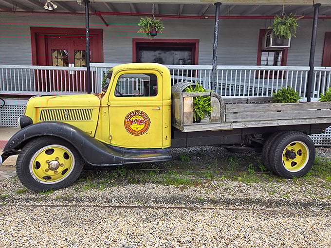 This sunshine-yellow vintage truck isn't just transportation—it's a rolling smile. The Essex Steam Train's attention to historical details extends beyond the rails.