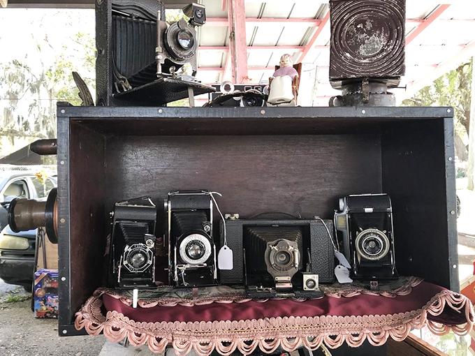 Photography's family reunion! These vintage cameras captured countless memories before smartphones, when "filters" meant actual glass attachments.