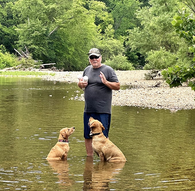 A day at the creek with four-legged friends proves that dogs understand vacation better than anyone—they're just happy to be wet, muddy, and completely in the moment.