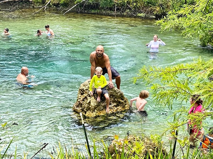 Nothing builds family memories quite like balancing on a rock in crystal-clear spring water. Nature's version of a theme park, minus the long lines.