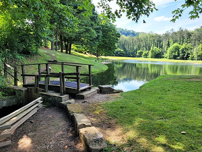 A wooden bridge over tranquil waters—nature's version of a meditation app, but without subscription fees or battery drain.