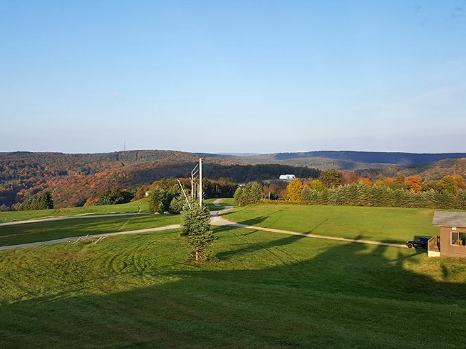 Rolling hills painted in autumn's finest palette – Mother Nature showing off her seasonal wardrobe change with spectacular flair.