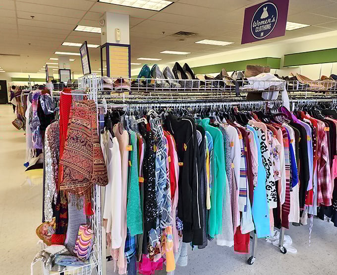 Women's fashion spanning decades, where vintage meets modern in delightfully unexpected ways.