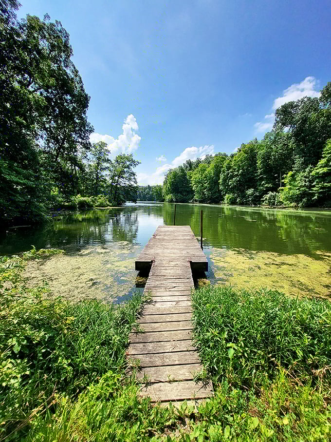 Not just a dock, but a front-row seat to the daily performance of "Lake Walnut: The Musical" – starring fish, turtles, and occasional dragonflies.