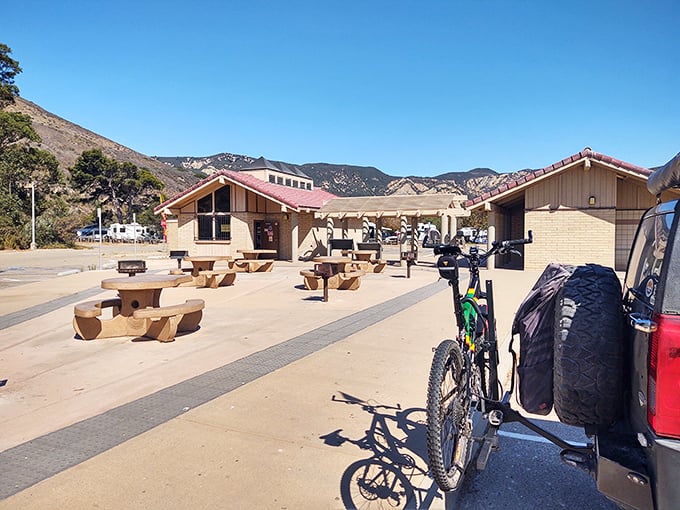 Sun-drenched picnic tables await storytellers and sandwich-makers alike. Where lunch comes with a side of mountain views and coastal breezes.