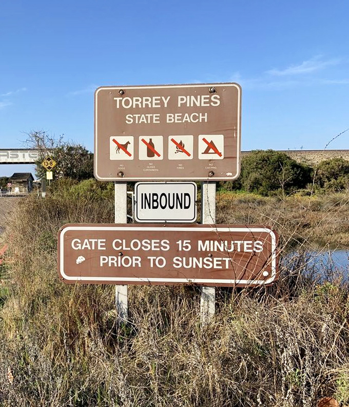 Signs that politely remind you this slice of paradise has rules – a concept the waves and wildlife have yet to acknowledge.