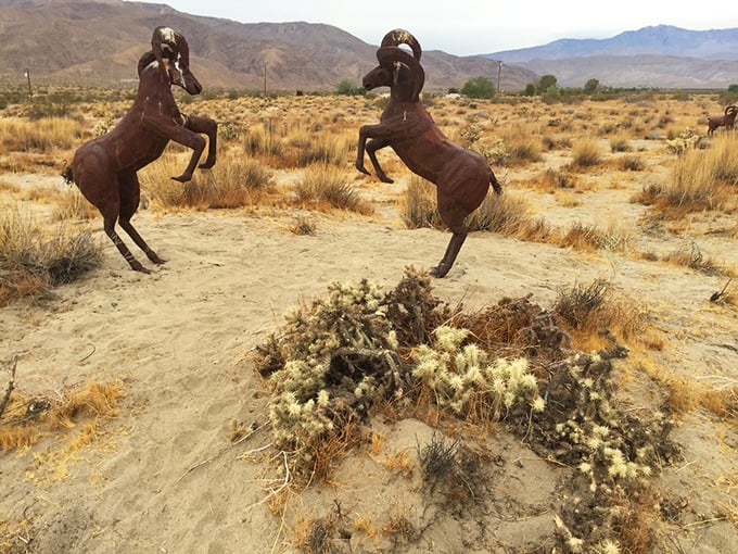 These dueling bighorn sheep, frozen mid-combat, remind us that nature's dramas have played out in these deserts for millennia.