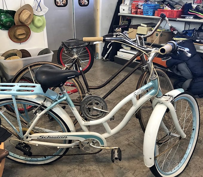 Vintage wheels that promise breezy adventures and Instagram-worthy moments. That Schwinn isn't just a bike—it's freedom with pedals.