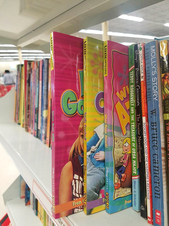 Literary treasures stacked spine-to-spine. From childhood classics to beach reads, these books are ready for their second plot twist.
