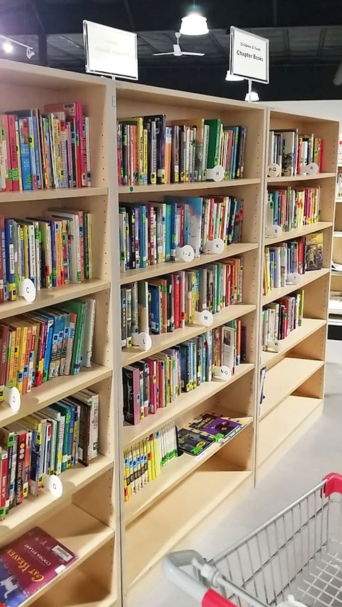 Children's books organized by reading level, waiting to inspire young minds. Each spine represents a doorway to imagination at bargain prices.