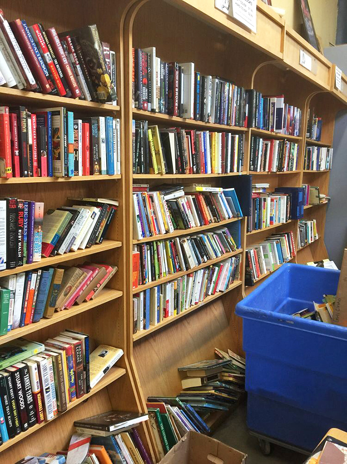 Curved bookshelves overflow with literary treasures spanning every genre – it's a reader's playground without the hefty price tags.
