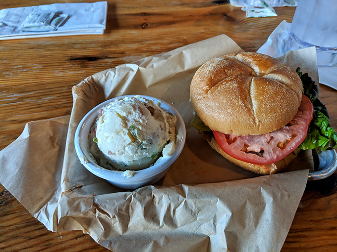 A sandwich that demands respect and a side of potato salad that refuses to be overshadowed—this is lunch diplomacy at its finest.