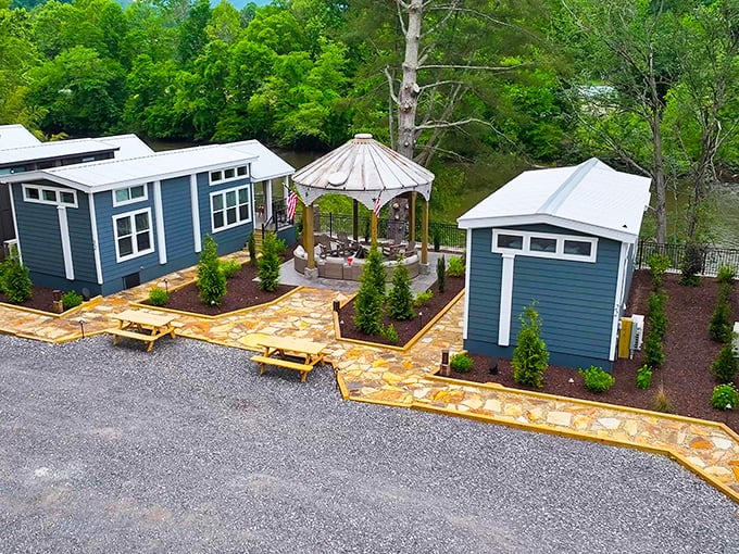 These aren't just cabins—they're your temporary mountain kingdom, complete with more fresh air than your city lungs know what to do with.