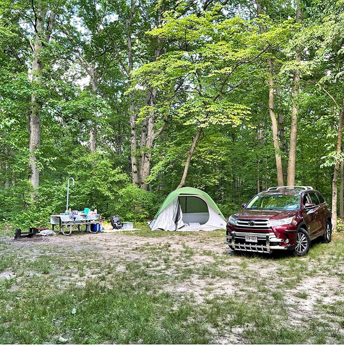 Camping at Cheesequake means waking up with trees as your wallpaper and birdsong as your alarm clock—a five-star experience by Mother Nature's standards.
