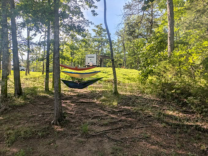 Hammock heaven among the pines – where napping becomes an Olympic sport and checking email is blissfully impossible.