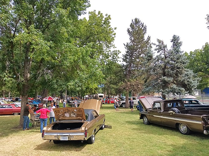 Classic cars and community gatherings under shady trees—some traditions transcend cultural boundaries in this Swedish-American haven.