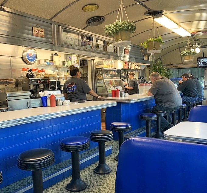 The counter at Norm's—where regulars perch like breakfast connoisseurs and servers perform the daily dance of plates, coffee pots, and friendly banter.