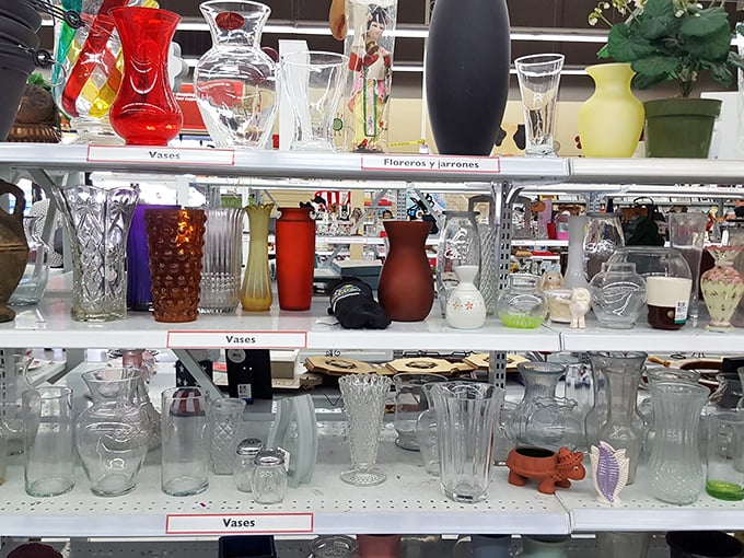 Vases of every shape, color, and era stand at attention—from mid-century modern to grandma's crystal, waiting to showcase your farmer's market finds.