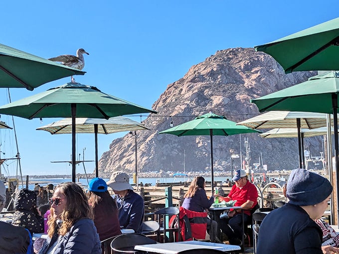 Where dining meets sightseeing – Morro Rock stands sentinel while diners debate the important question: dessert now or second helping first?