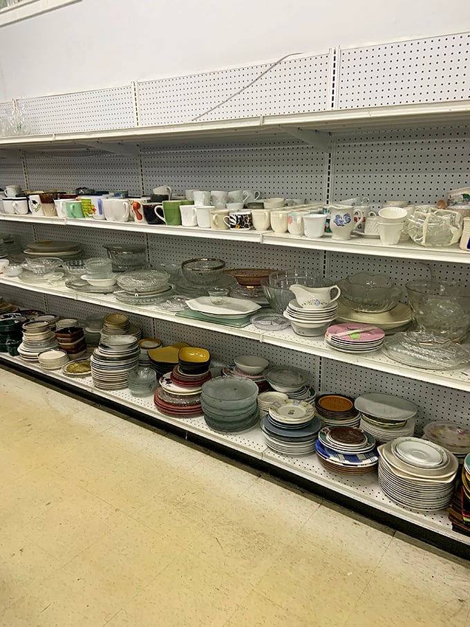 The dish department: where mismatched plates and orphaned teacups find new purpose. Someone's wedding registry is another's thrift store goldmine.