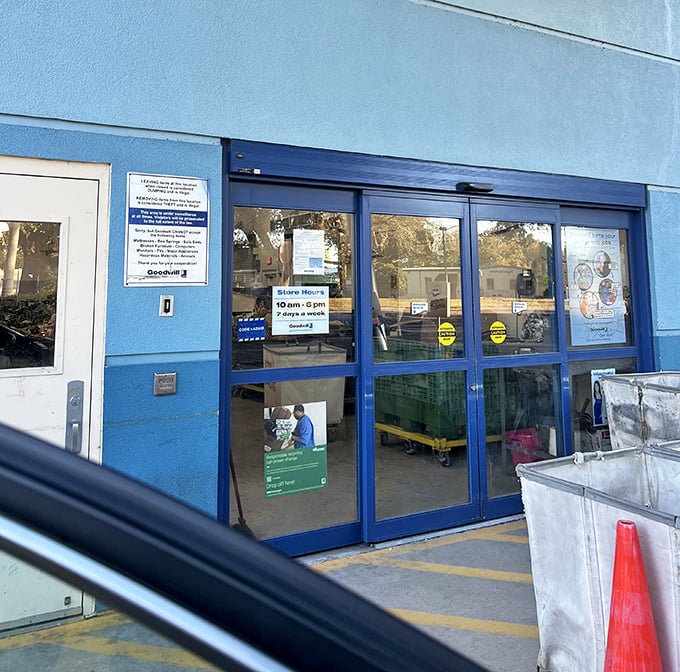 The blue doors of possibility—open 10am to 6pm daily for those brave enough to hunt for hidden gems.