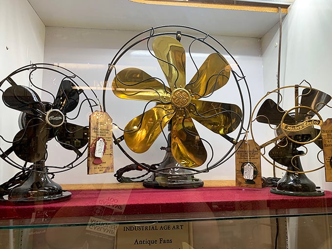 These vintage electric fans aren't just appliances; they're industrial sculpture. That brass beauty in the center could cool a room and impress guests simultaneously.
