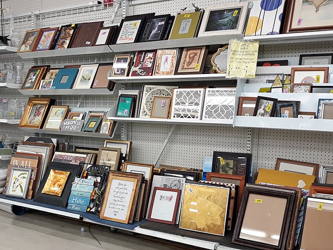 A gallery wall of possibility—frames waiting to showcase your memories or artwork at prices that won't require a museum-sized budget.
