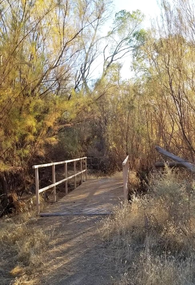 This humble wooden bridge leads to the archaeological village – crossing from present to past in just a few steps.