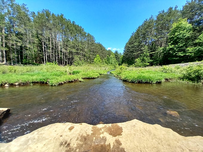 Clear waters, green banks, blue skies—nature's perfect color palette on display. This stream doesn't need an Instagram filter to look this good.
