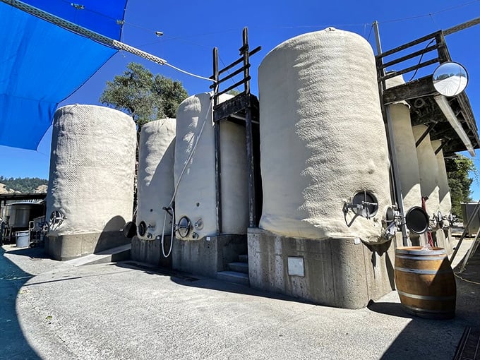 Fermentation tanks standing tall like modern sculptures – industrial equipment transformed into art when the end result is this delicious.