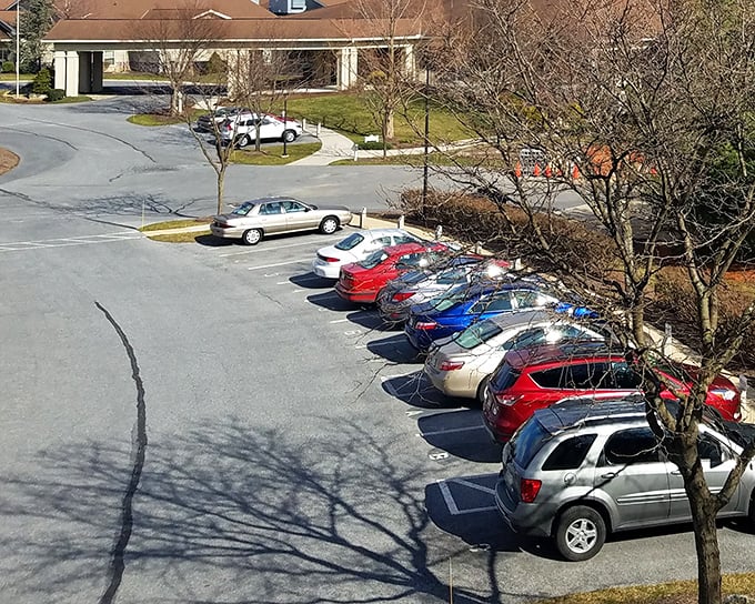 A parking area with actual spaces available—already worth the price of admission in today's overcrowded world.