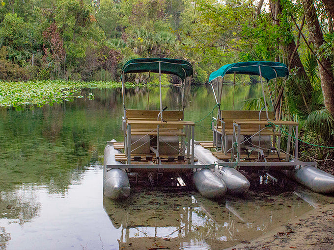 Pontoon pedalos floating like lazy water beetles, perfect for those who want adventure without breaking a sweat.